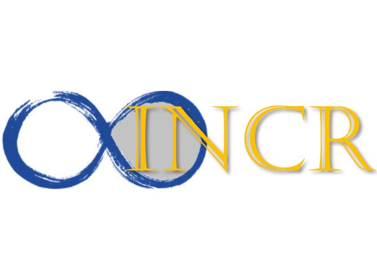 数值岩石力学实验室 NLRM